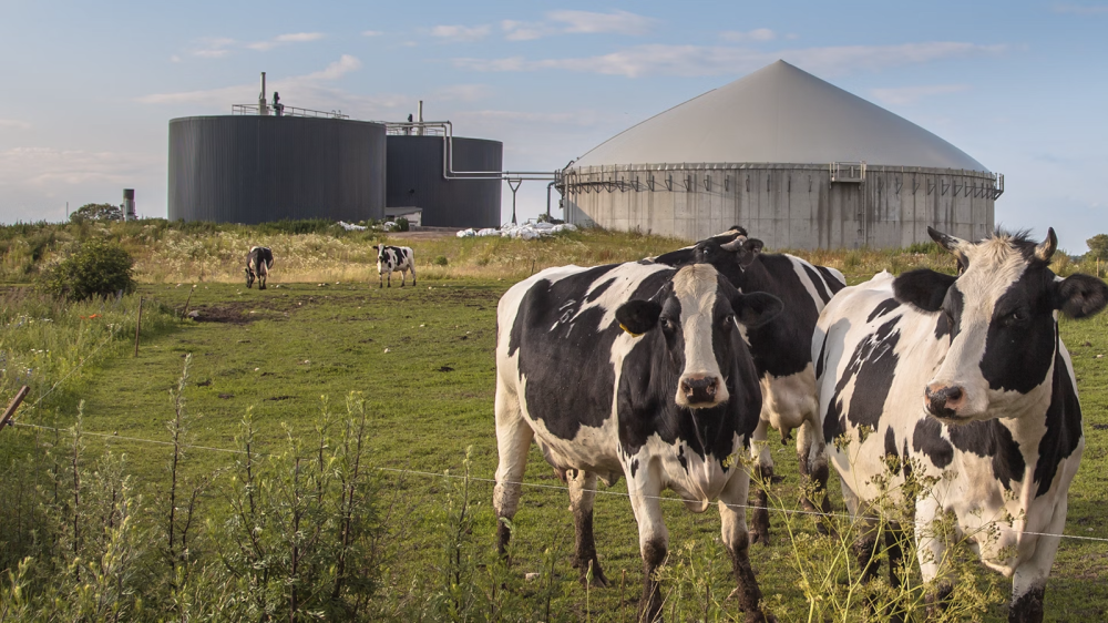 La AIE afirma que el biogás podría cubrir un cuarto de la demanda ...