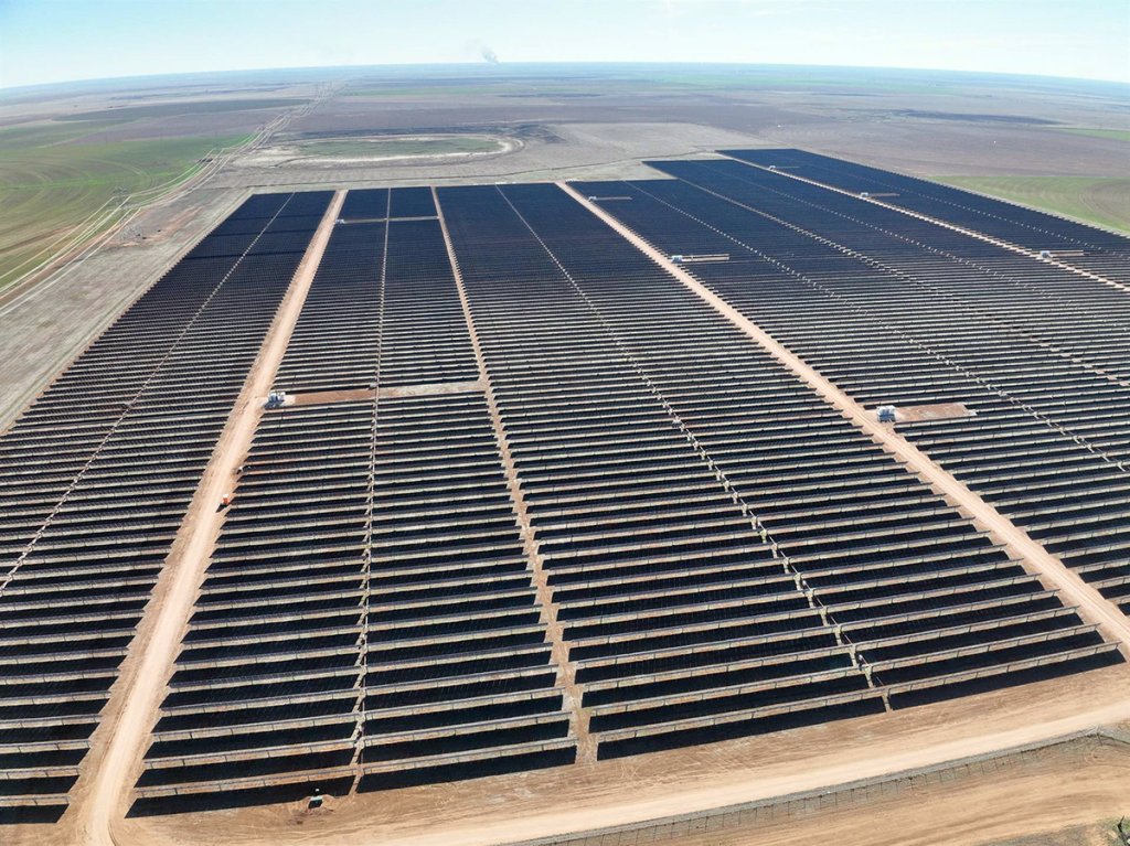 Repsol y Powerfultree impulsan el primer piloto agrovoltaico de España ...