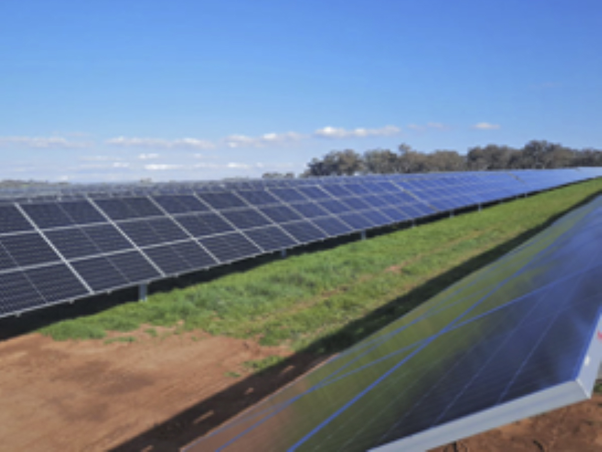 Gransolar logra la plena producción tres meses después de su conexión ...