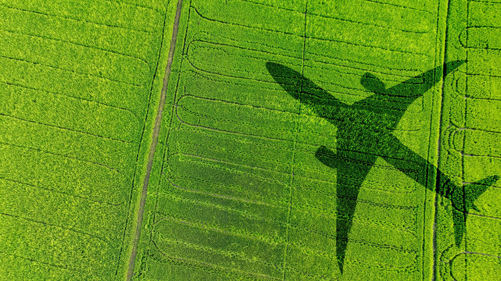 RIC Energy y Siemens se alían para desarrollar proyectos de hidrógeno ...