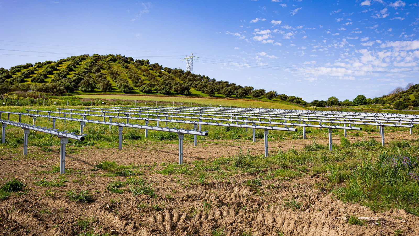 Chint Solar construye su primer parque solar de 130 MW en España en ...