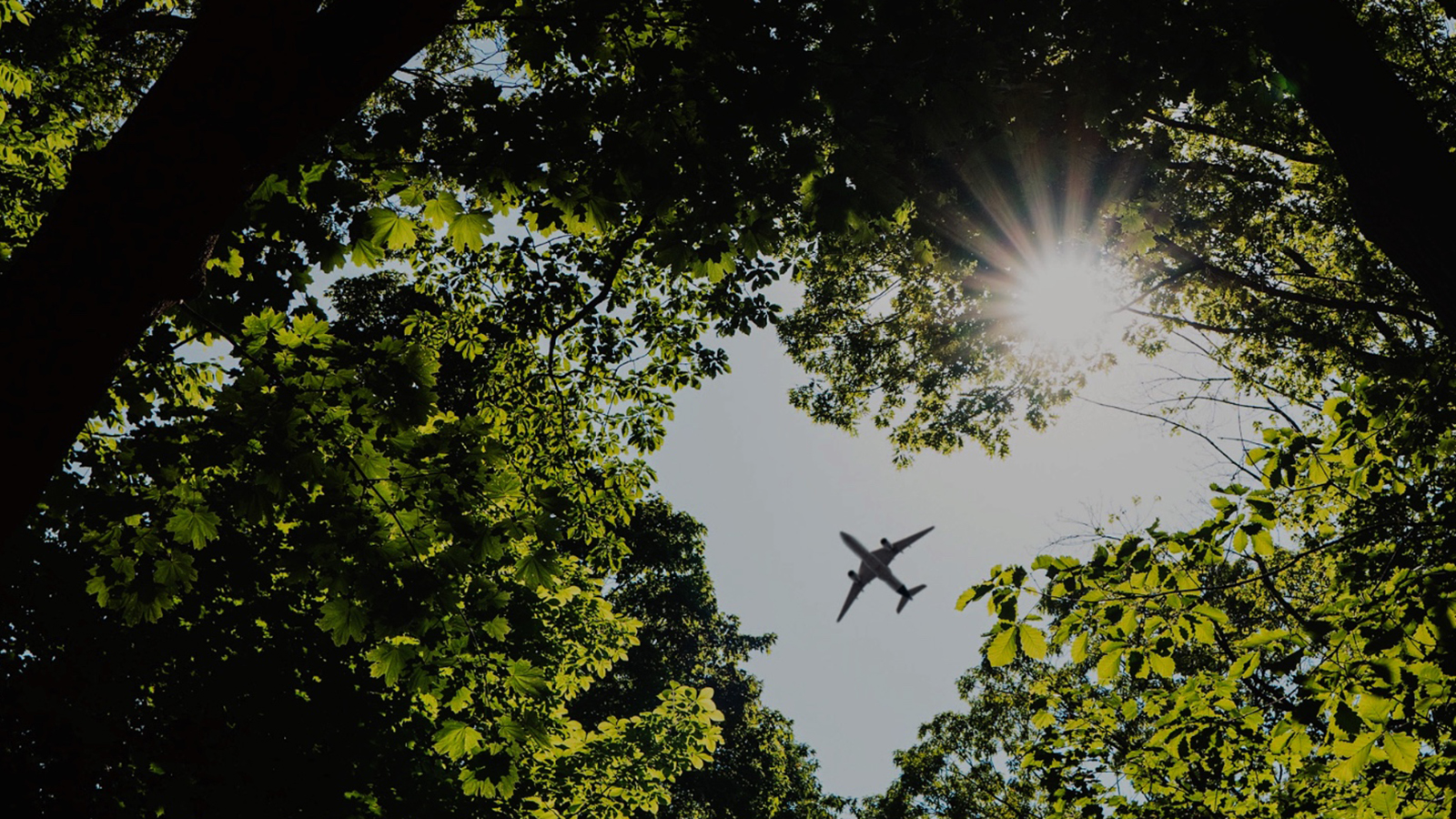 Smartenergy y Q8 Aviation firman un acuerdo estratégico de compra de eSAF