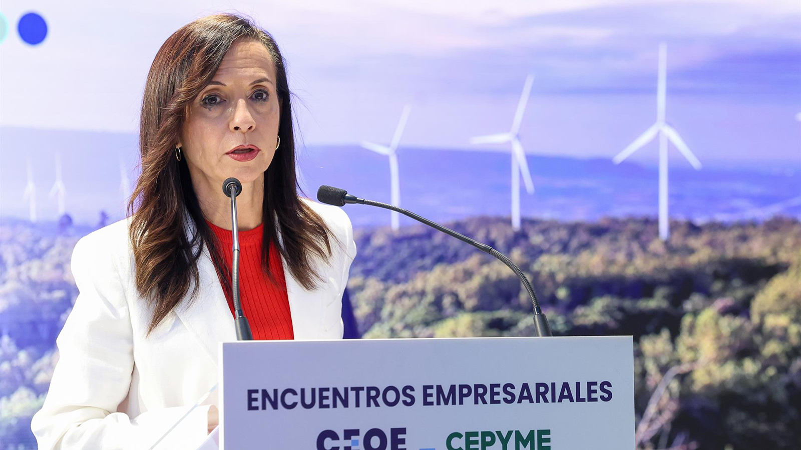 Corredor asegura que Red Eléctrica tiene "la peor" regulación y ...
